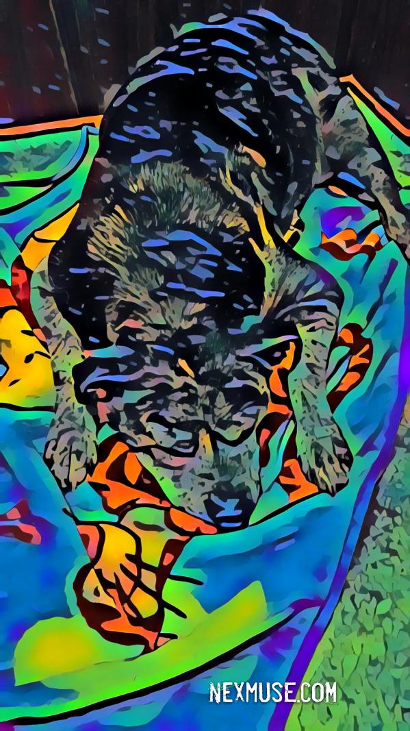 Nexmuse - Shared Artwork