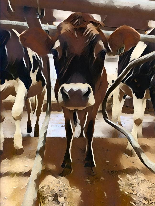 Nexmuse - Shared Artwork